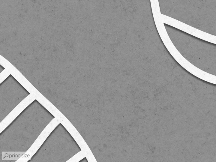 پوستر دیواری طرح برگ M12110540 - خرید با بهترین قیمت - فروشگاه اینترنتی ...